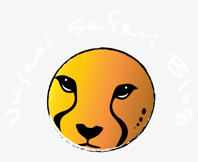 Vsl Logo Cheetah 2014 V5 - Cheetah - 800x605 PNG Download - PNGkit