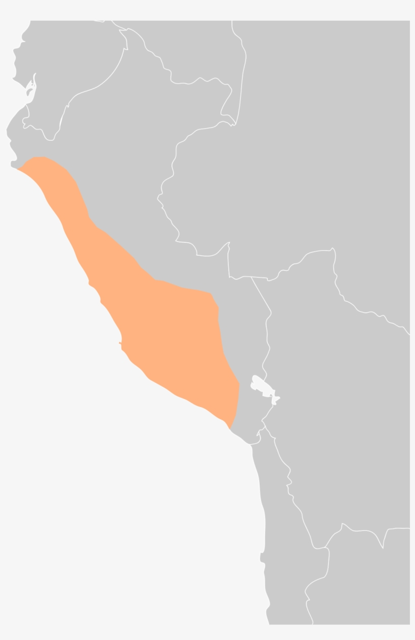 Ubicacion Geografica De La Cultura Wari En El Mapa - 1200x1640 PNG ...