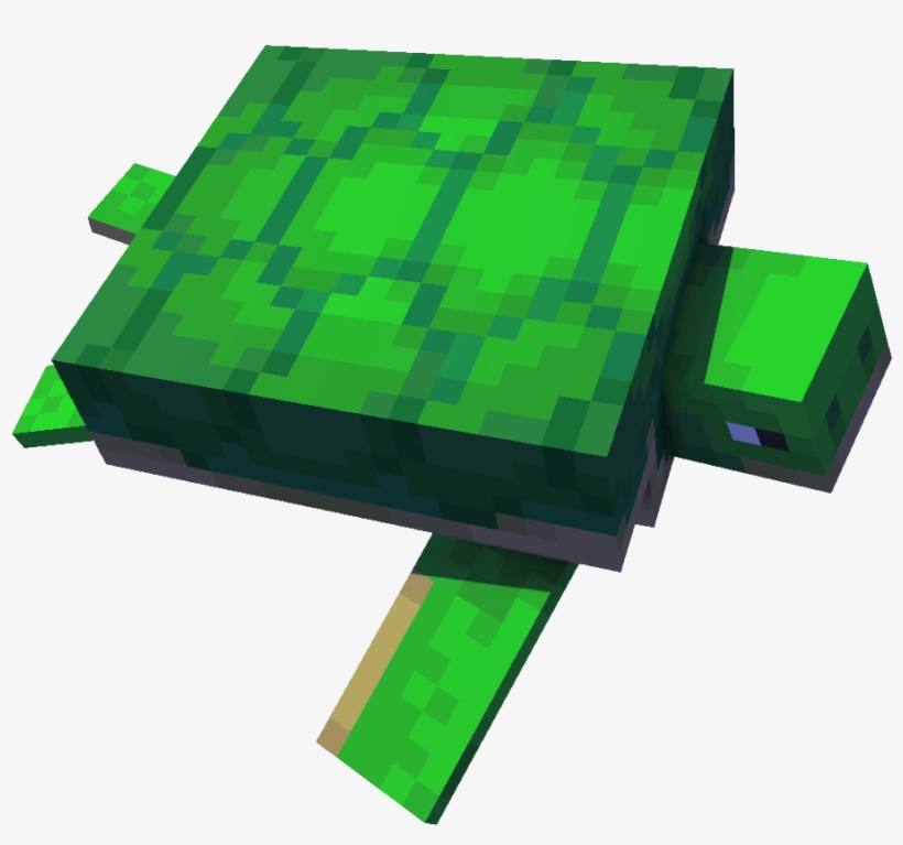 Mam3bmx - Minecraft Aquatic Update Turtles - 1051x1051 PNG Download ...
