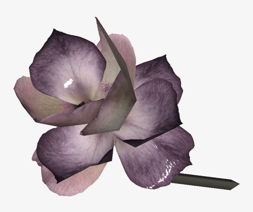 Download Transparent Mutated Fern Flower - Fallout Hubflower - PNGkit