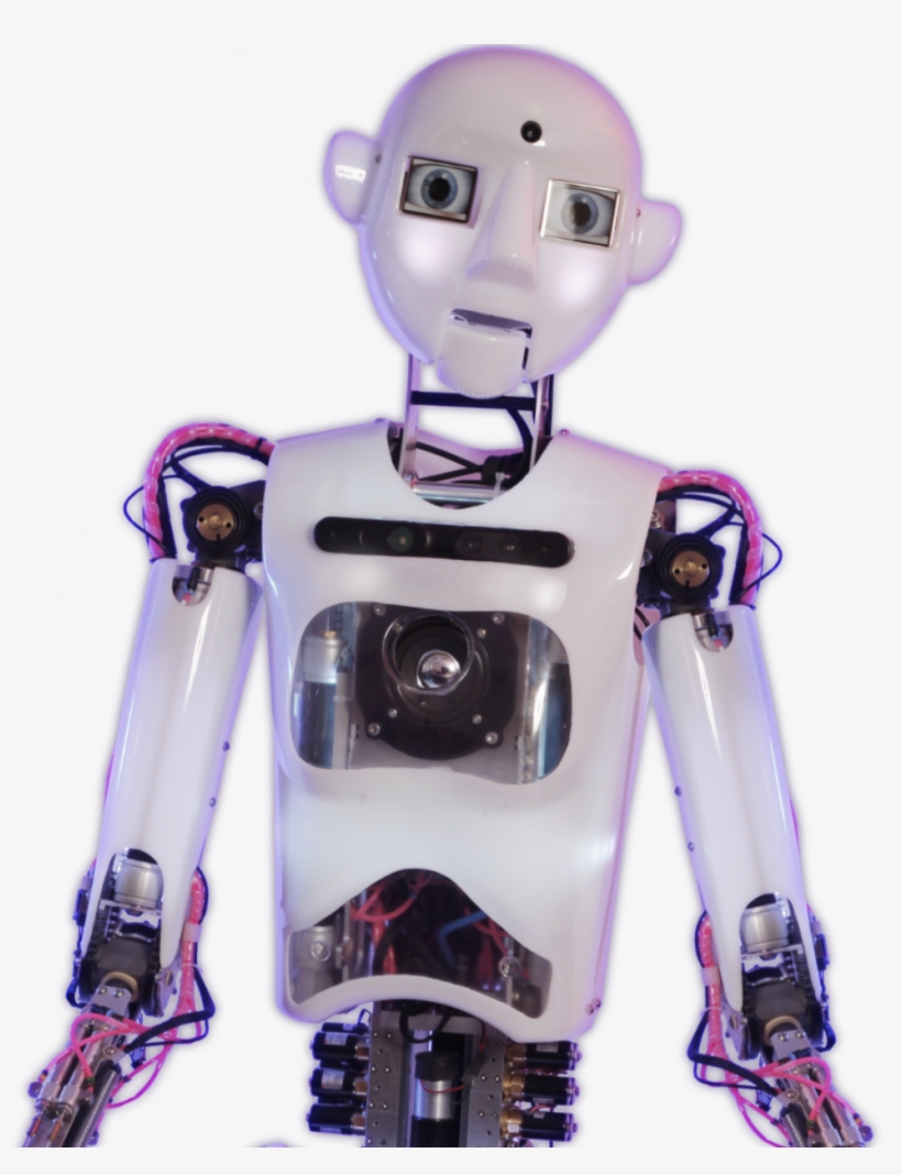 Boris - 975x1223 PNG Download - PNGkit