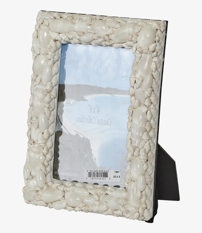 White Shells Photo Frame 4x6" Glass Pane - White Shells Seashells Photo ...