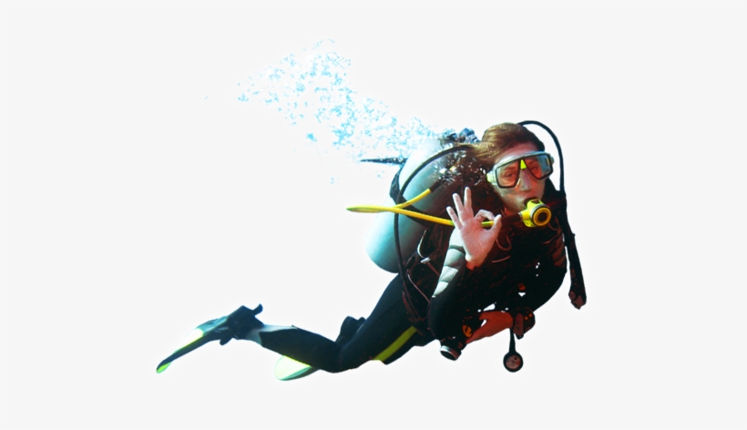 Diver Png - Scuba Diving - 490x392 PNG Download - PNGkit