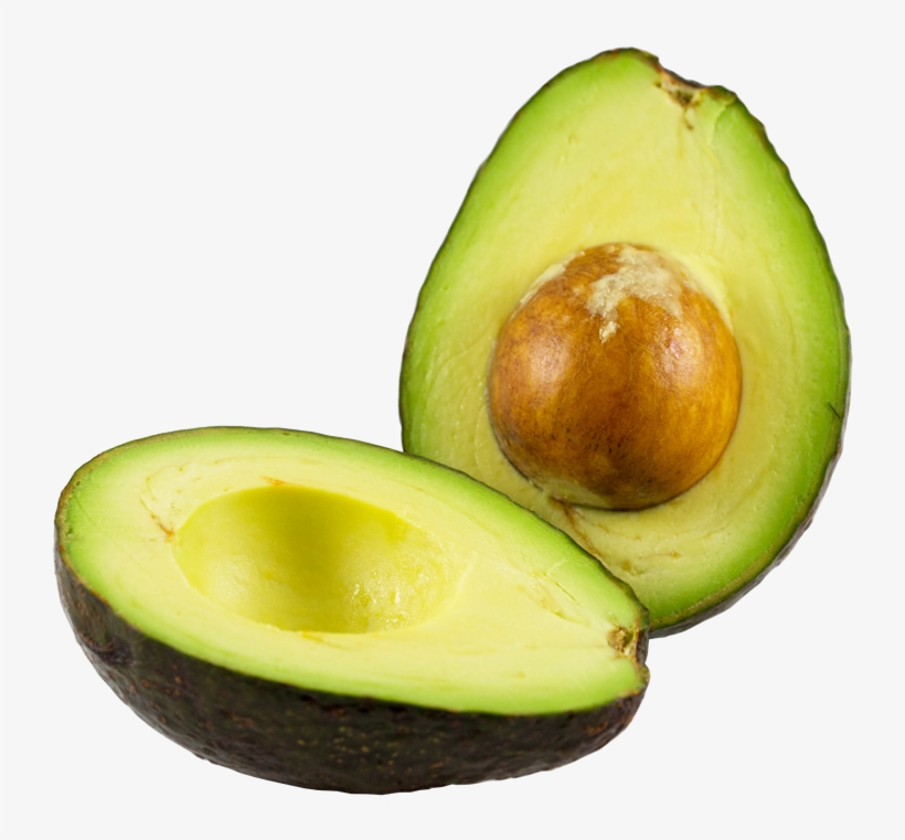 Retirada Do Bolo Fecal - 1000x1000 PNG Download - PNGkit