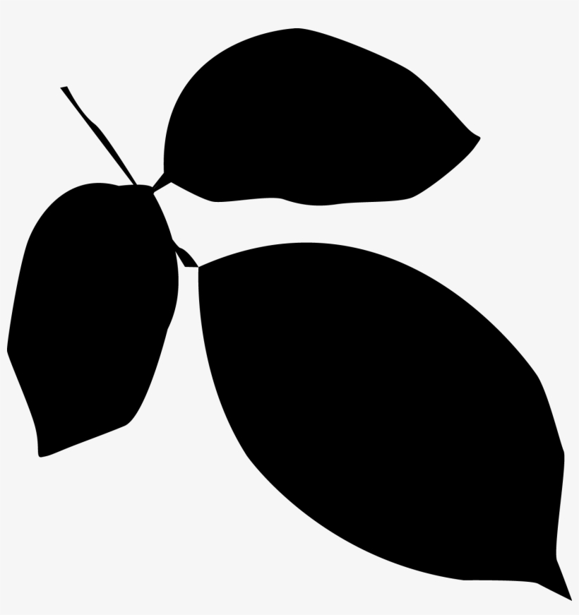 Download Transparent Free Vector Leaves Silhouette At Getdrawings ...