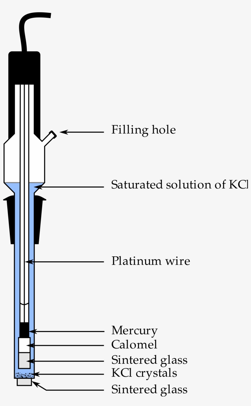 Needle Electrode Diagram at Maria Morris blog