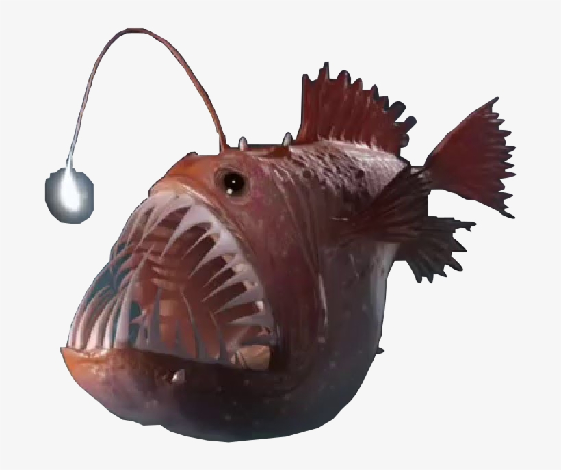 Angler Fish Png - Female Angler Fish Png - 709x624 PNG Download - PNGkit