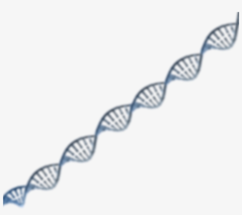 3d Dna Png Download - Dna Strand With No Background - 1559x1344 PNG ...