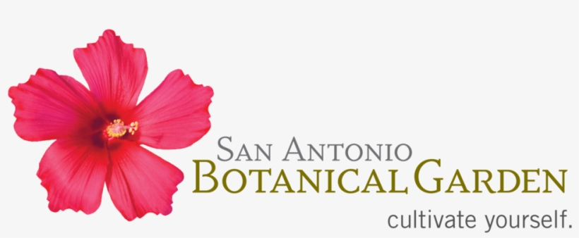 Sabg Logo Large File - Sa Botanical Gardens Logo - 1000x401 PNG ...