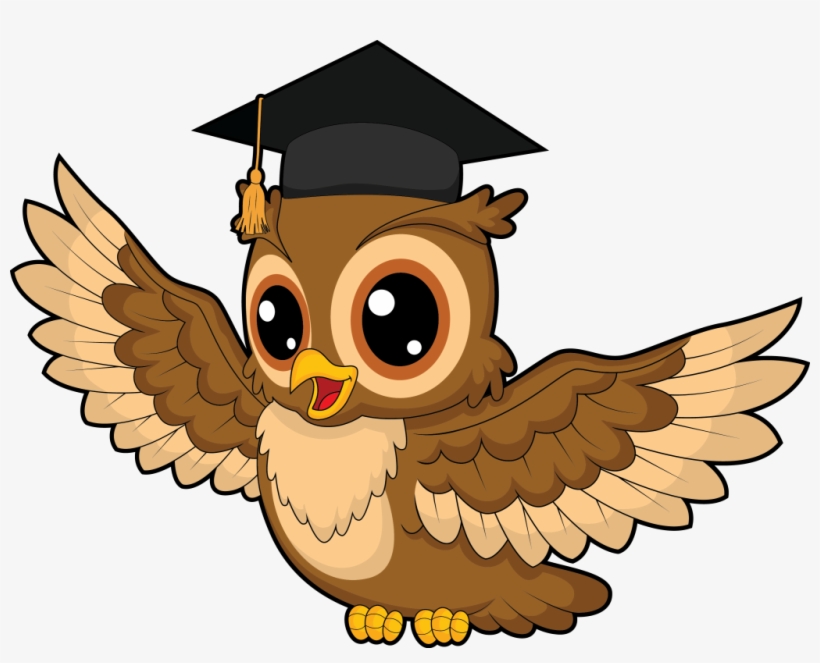 Owl Flying V2 - Owl Science - 1024x779 PNG Download - PNGkit