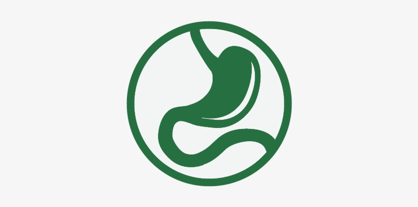 Stomach-icon - Digestion - 375x375 PNG Download - PNGkit