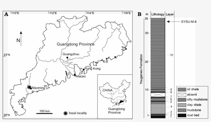 Geographical Map Of The Maoming Basin, Guangdong Province, - Map ...