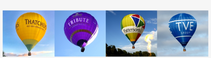 Tribute Are As Well, But Their Balloon Is A 210, Which - Thatchers Hot ...