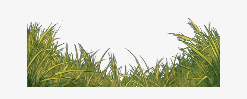 Sweet Grass - 640x500 PNG Download - PNGkit