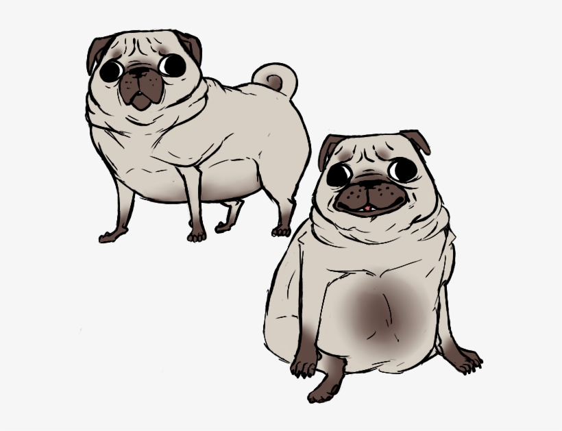 28 Collection Of Fat Pug Drawing - Pug - 626x575 PNG Download - PNGkit