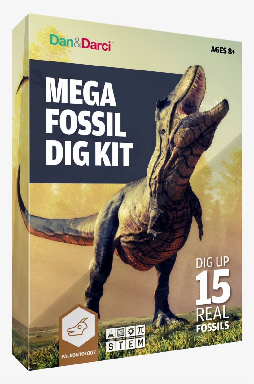 Dd Fossil Dig Kit Hr - 1200x1200 PNG Download - PNGkit