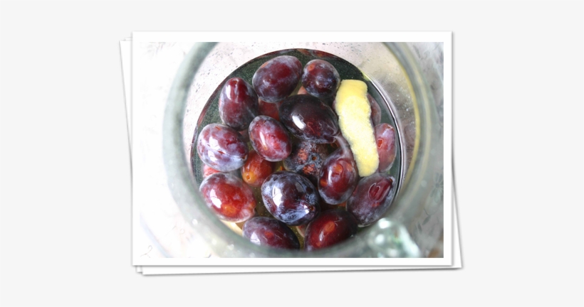 Recipe - Damson - 504x360 PNG Download - PNGkit