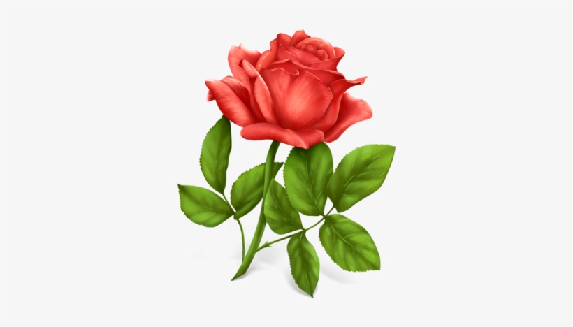 Single Rose Free Download Transparent Png Images - Red Rose Icon ...