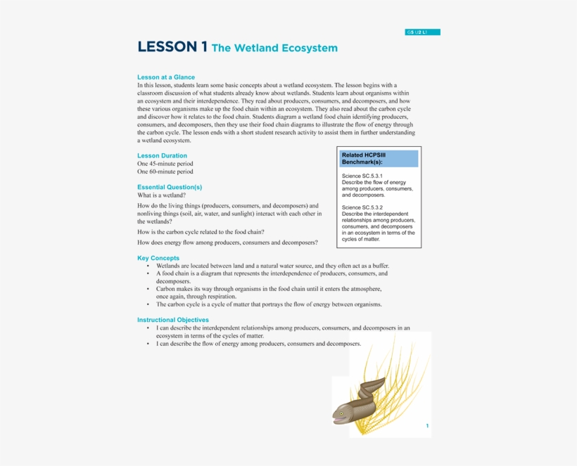 The Wetland Ecosystem - 440x582 PNG Download - PNGkit