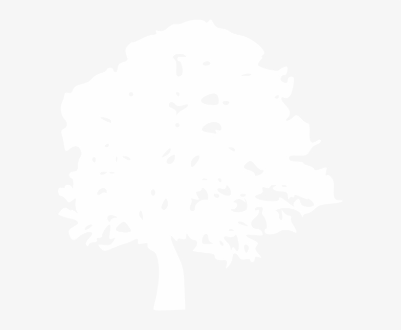 Nubb Trouble: A Teddy And Pip Story [book] - 582x595 PNG Download - PNGkit