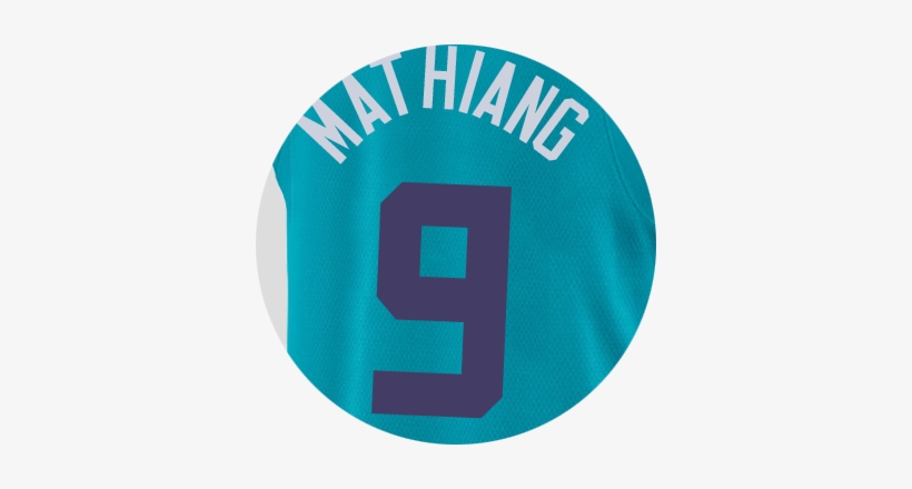 Charlotte Hornets Mangok Mathiang - Charlotte Hornets - 360x360 PNG Download - PNGkit