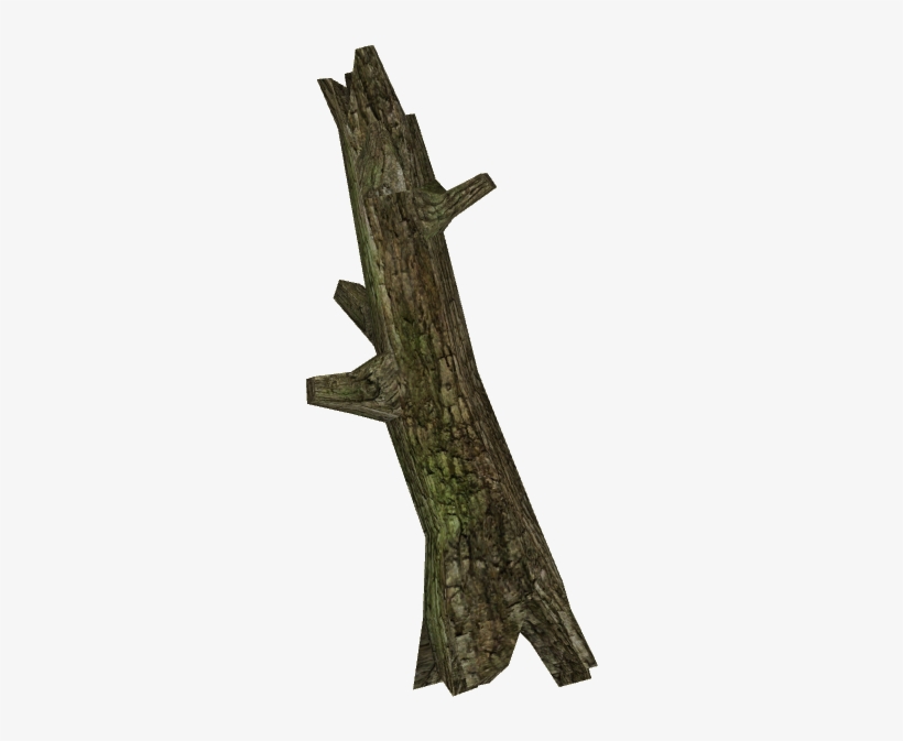 Small Temperate Log - Portable Network Graphics - 592x592 PNG Download ...