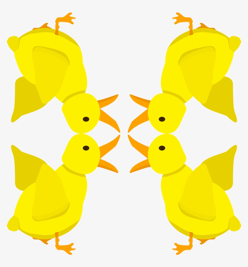 Duck - 800x800 PNG Download - PNGkit