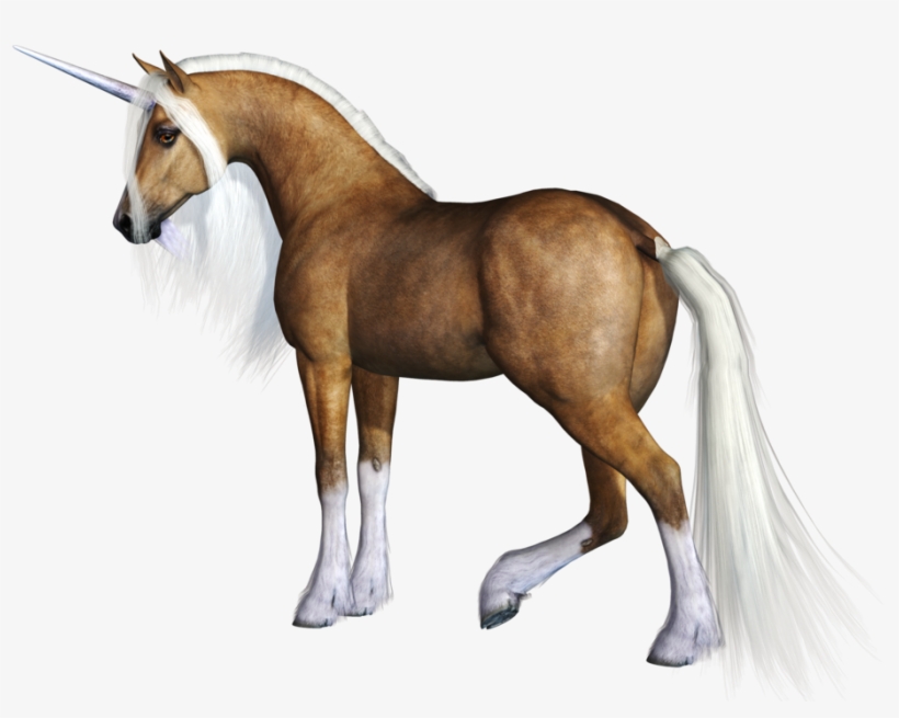 Unicorn - 1024x768 PNG Download - PNGkit