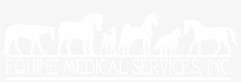 Logo - Equine Medical Services - 960x315 PNG Download - PNGkit