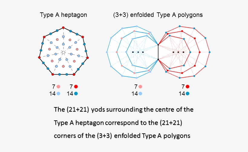 Yods In Type A Heptagon Correspond To (21 - Polygon - 579x431 PNG ...