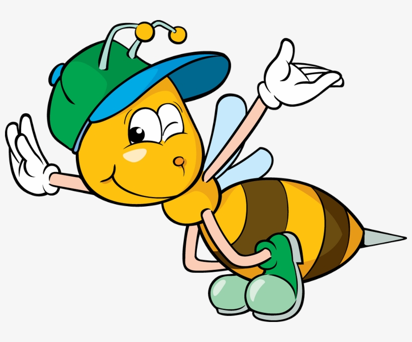 Bee Cartoon - Chị Ong Nâu - 800x602 PNG Download - PNGkit