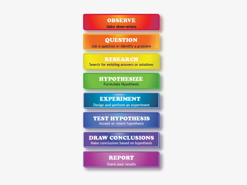 Scientific Method Steps - 300x600 PNG Download - PNGkit