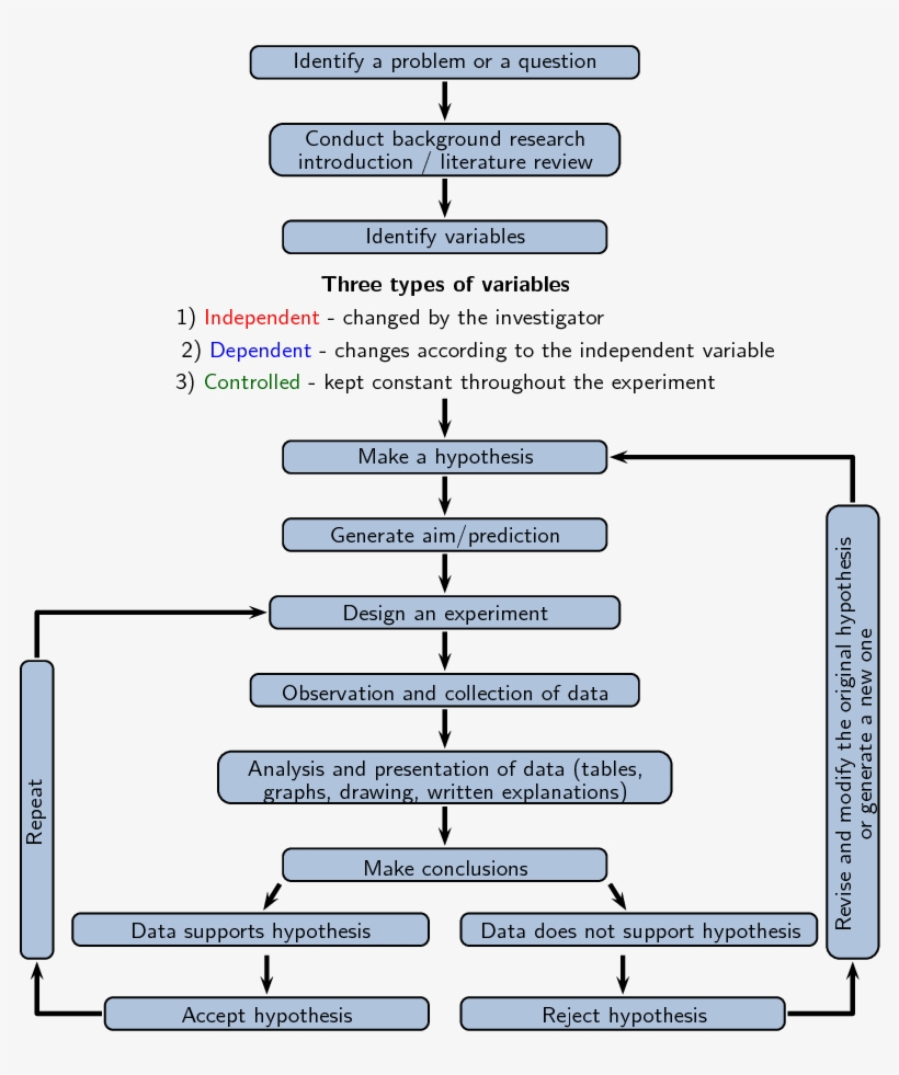 Figure - Science - 813x967 PNG Download - PNGkit
