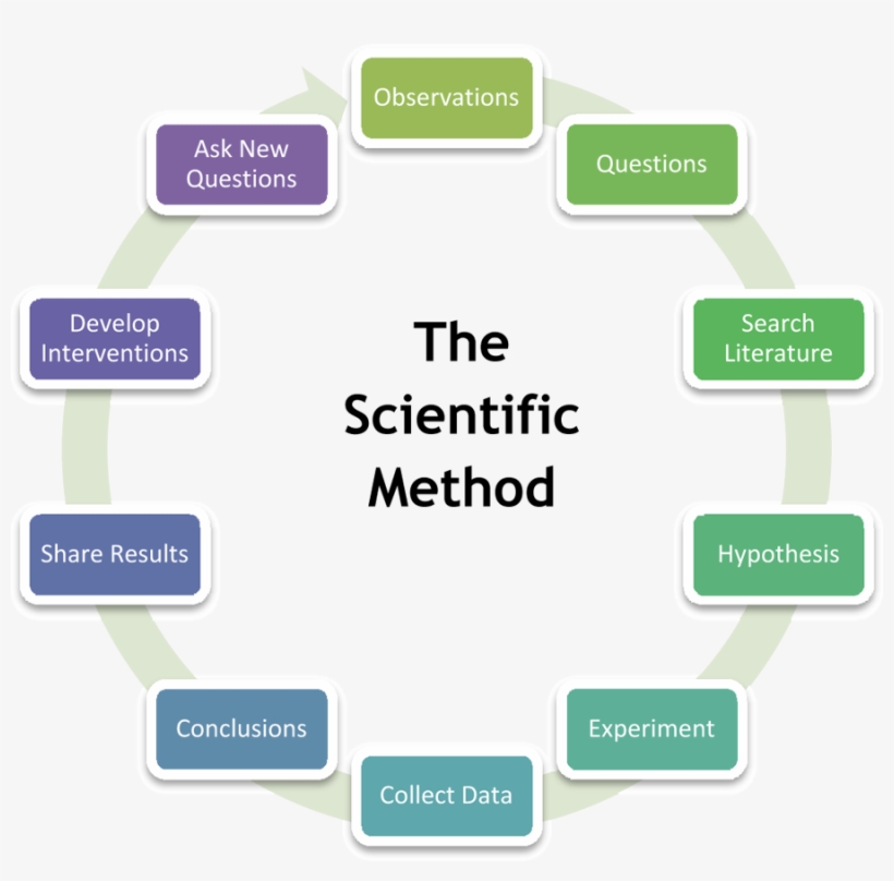 The Scientific Method - Scientific Diagram - 900x844 PNG Download - PNGkit
