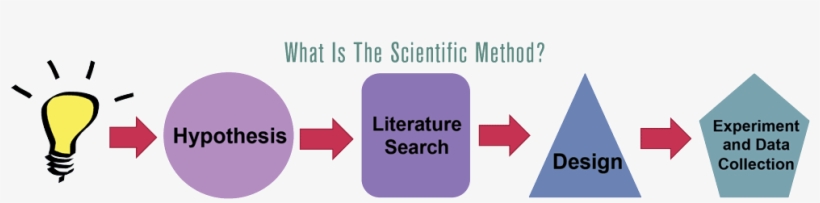 What Is The Scientific Method - Light Bulb Clip Art - 1000x208 PNG ...