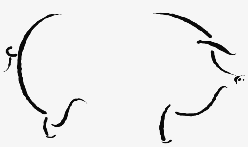 Pig Outine Transparent - Hog Roast No Background - 900x510 PNG Download ...