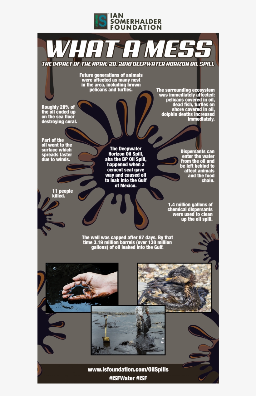 What A Mess Infographic - Infographic - 581x1200 PNG Download - PNGkit