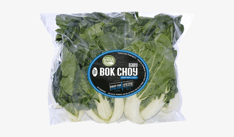 Download Transparent Baby Bok Choy - Bok Choy - PNGkit