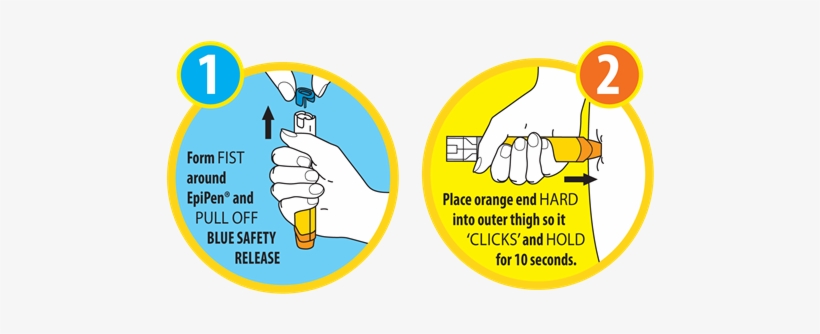 Epipen Instructions - Use Epipen - 500x271 PNG Download - PNGkit