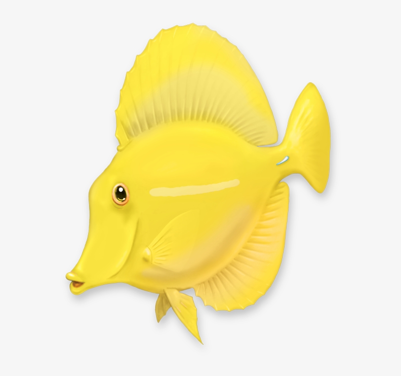 Yellow Tang - 750x750 PNG Download - PNGkit