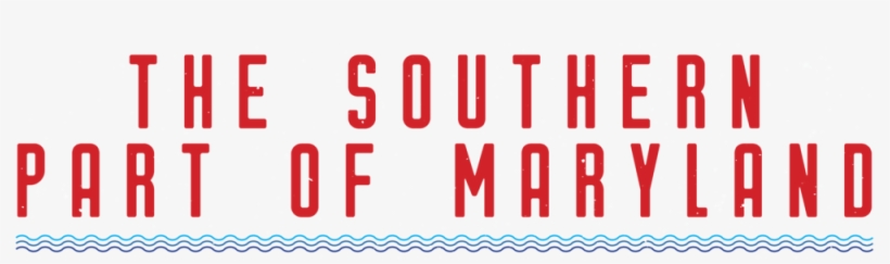 Natty Light Titles3 - Chris Stapleton Logo Png - 1000x248 PNG Download ...