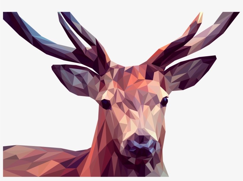 Low Poly Portraits Of Animals - Low Poly Deer - 4800x3200 PNG Download ...
