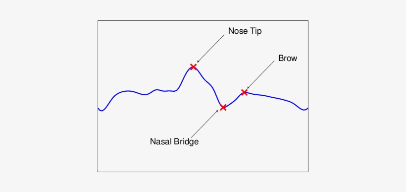 Face Profile With Labelled Feature Points - Diagram - 453x323 PNG ...