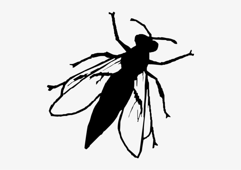 Mosca Vector Png - 500x498 PNG Download - PNGkit