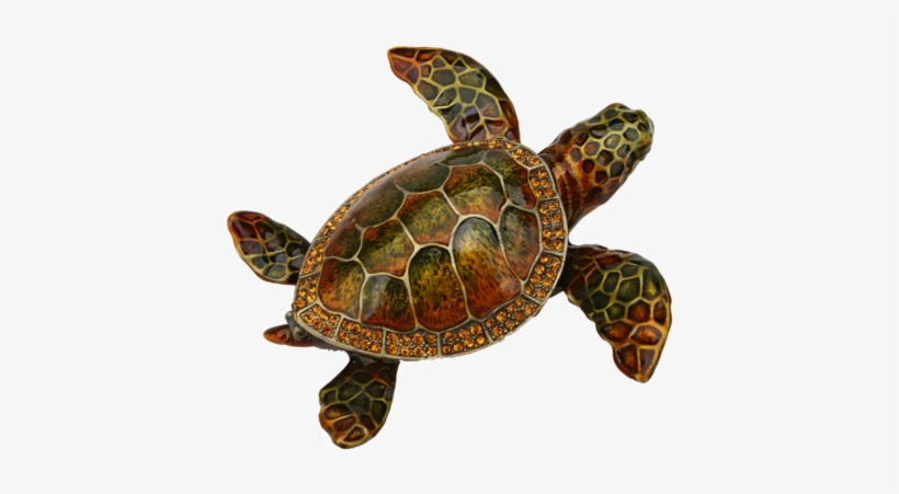 Loggerhead Sea Turtle Pewter Figurine Box - Loggerhead Sea Turtle Png ...