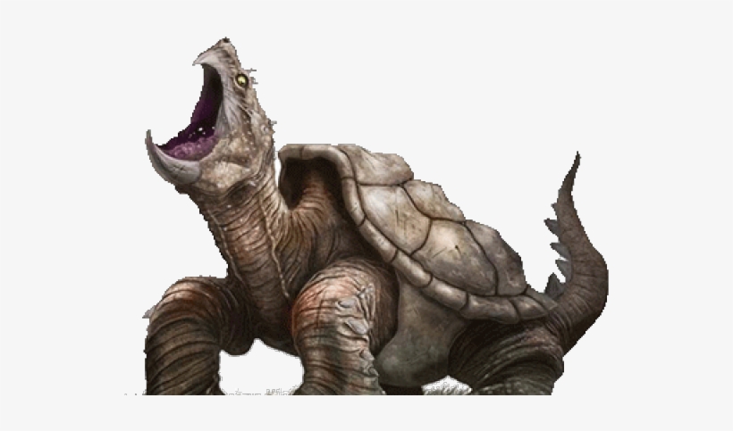 Giant Snapping Turtle Png - 640x480 PNG Download - PNGkit