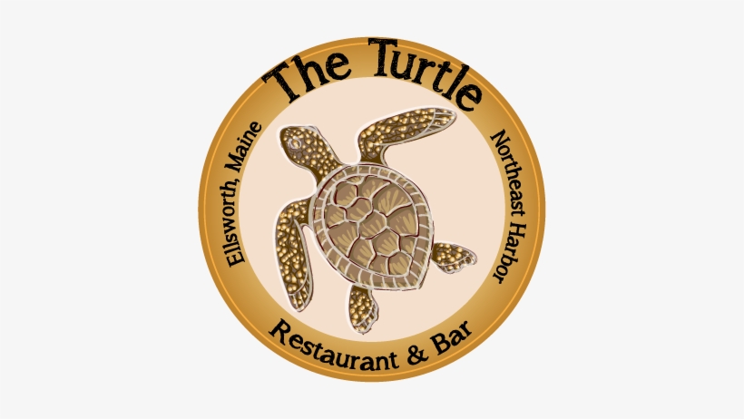 Follow Us Amenu - The Turtle Restaurant & Bar - 384x382 PNG Download ...