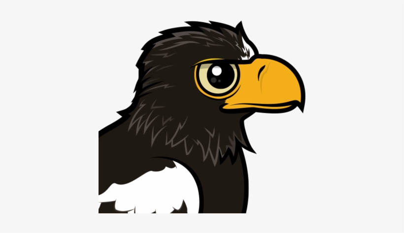 About The Steller's Sea Eagle - Steller Sea Eagle Habitat - 440x440 PNG ...
