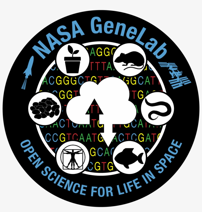 Nasa Genelab Open Science For Life In Spac - Genelab - 1410x1416 PNG ...