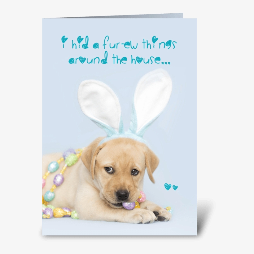 Yellow Labrador Retriever Easter Bunny Greeting Card - Labrador ...
